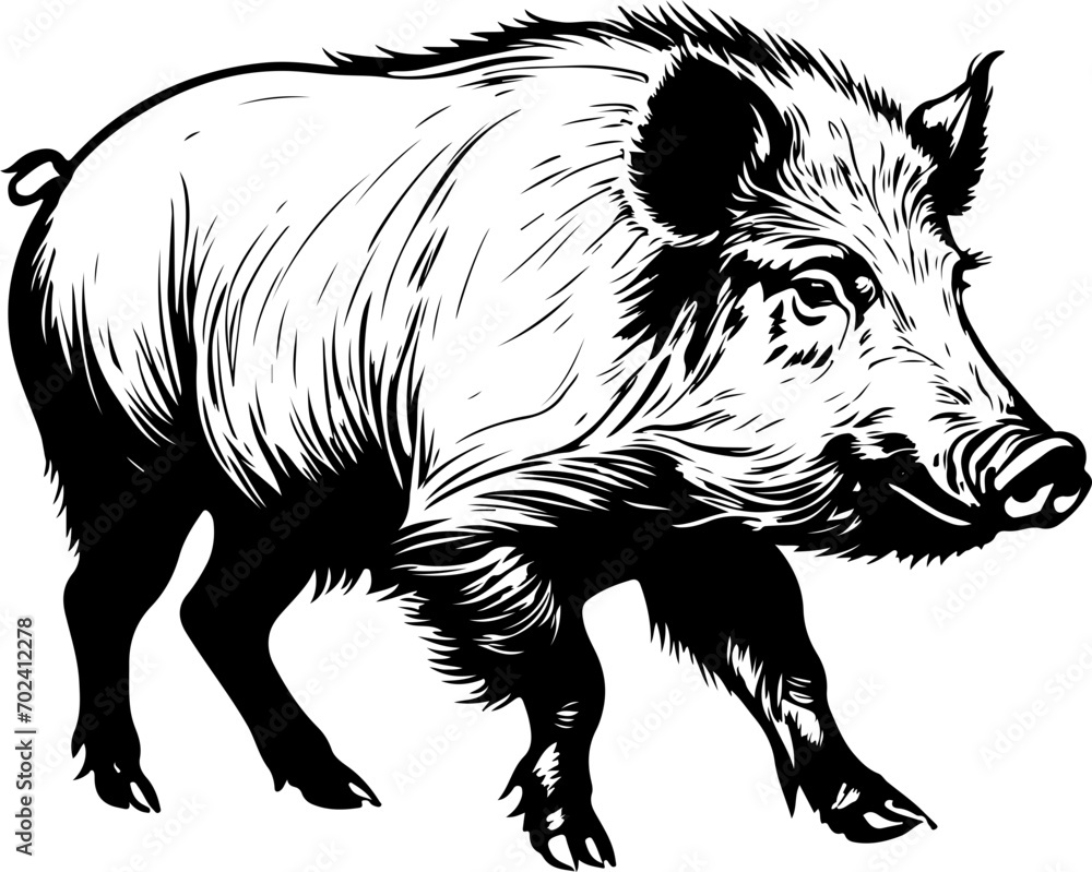 Vetor do Stock: Boar SVG bundle, wild boar SVG, wild boar PNG, wild ...
