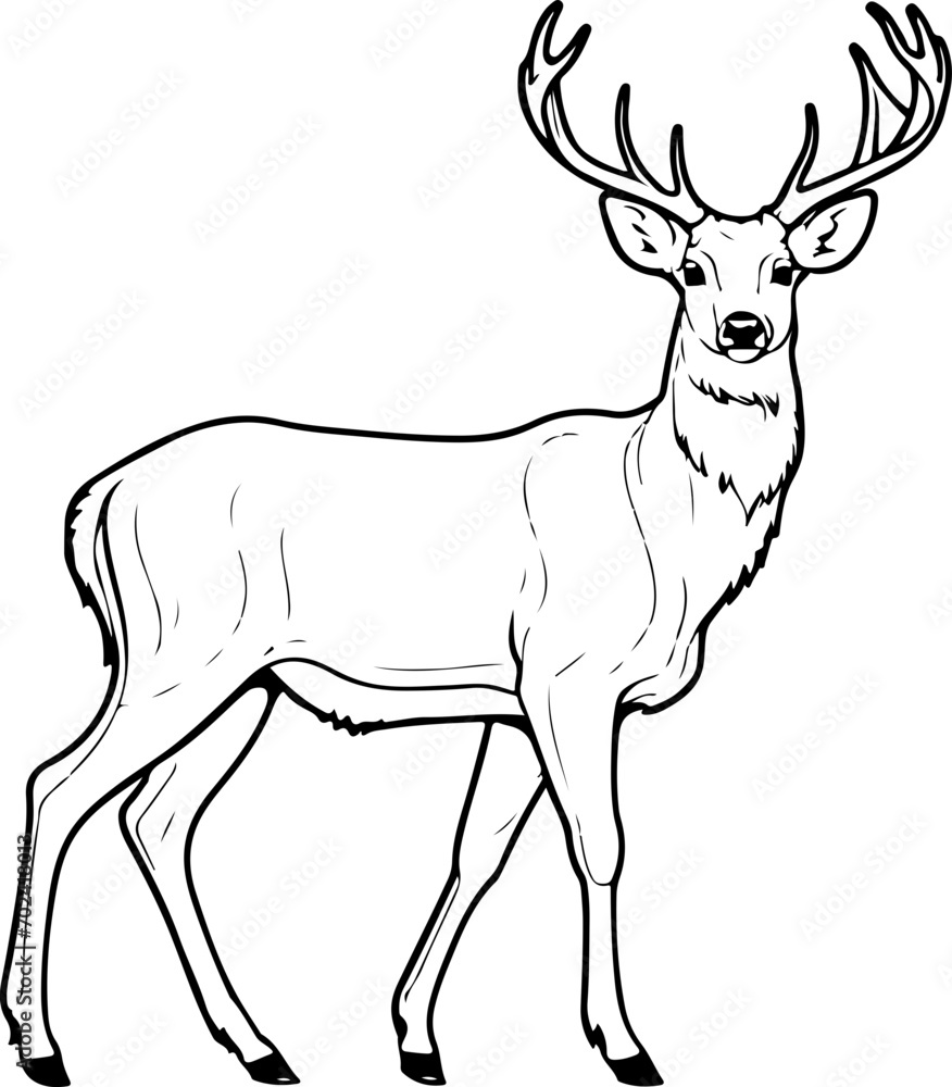 Deer SVG bundle, Deer SVG, deer outline svg, 3d deer svg, deer hunting ...