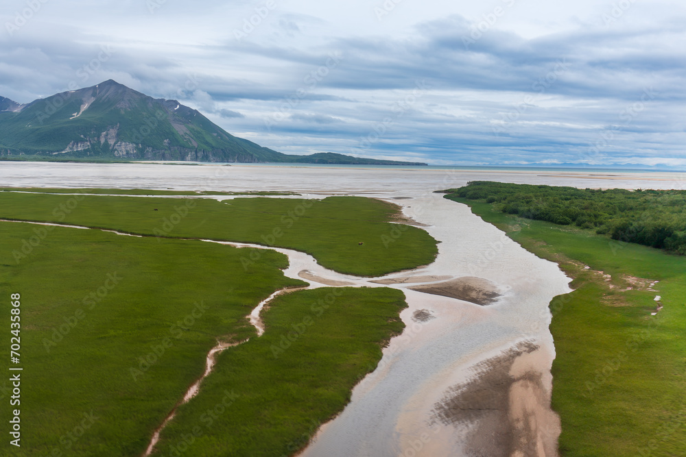 Alaskan brown bears gazing near Tuxedni Wilderness in the Cook Inlet at ...
