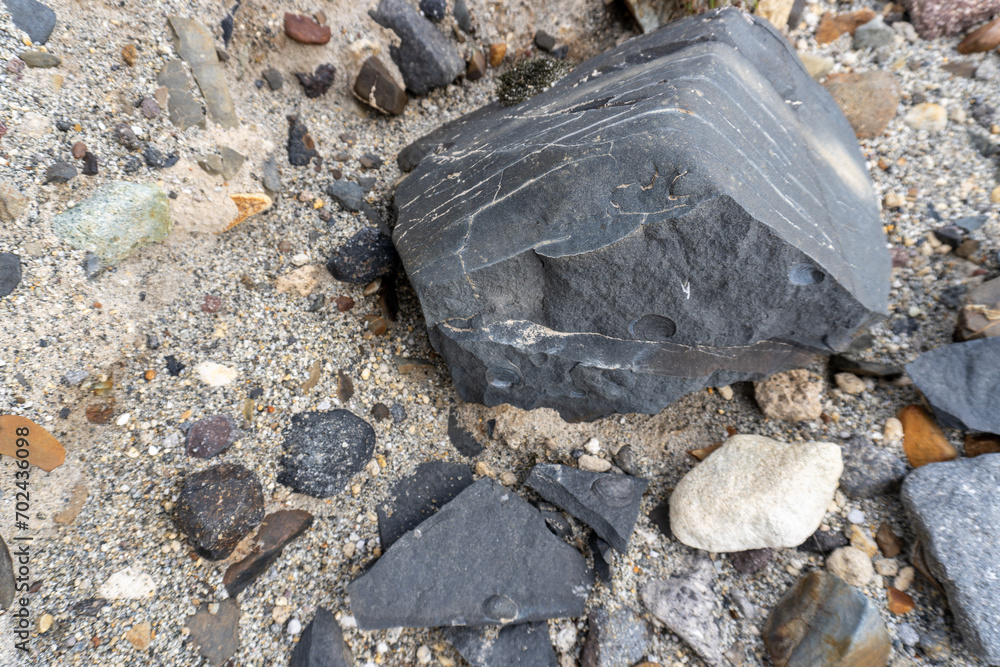 Bivalve fossils in Valley of Ten Thousand Smokes, Katmai National Park ...
