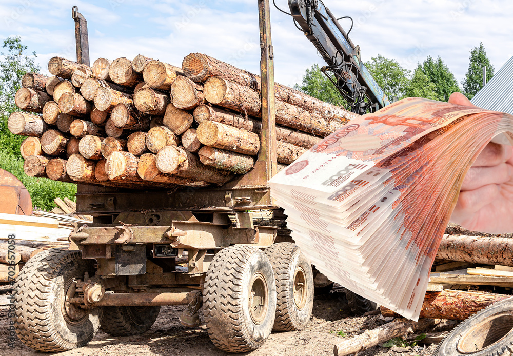 Timber carrier with large sawn logs at the wood storage place and stack ...