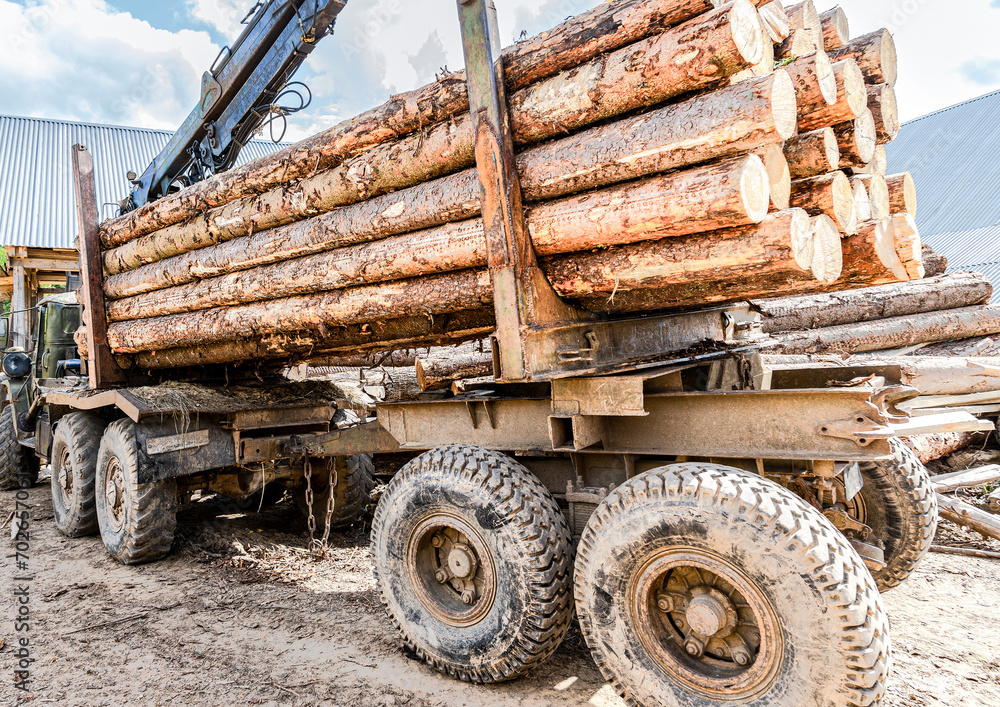 Timber carrier with large sawn logs at the wood storage place Stock ...