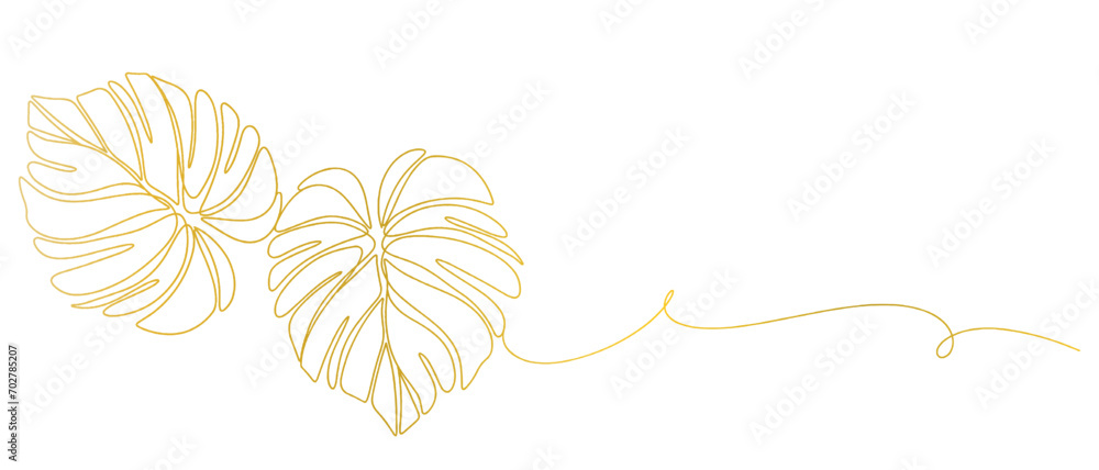 Monstera leaf line art style with transparent background eps Stock ...