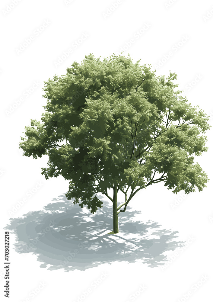 beautiful tree isometric view, vector illustration, transparent Stock Illustration | Adobe Stock