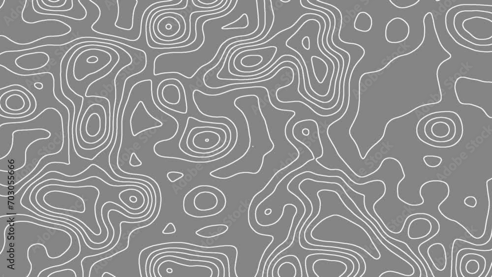 4K Topographic animation scheme and terrain. Topography grid map. Stylized topographic contour ...