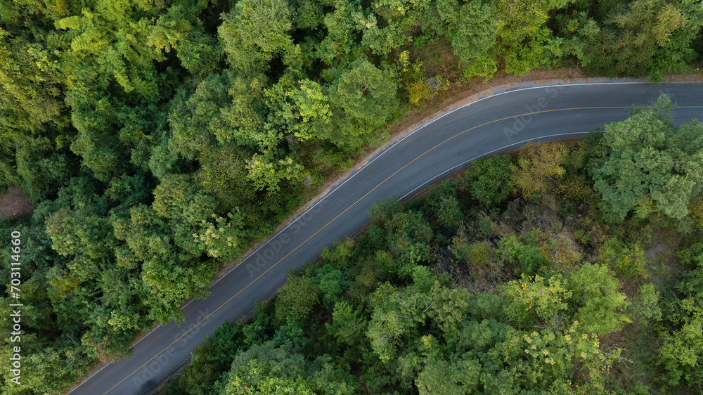 Aerial view of road dark green forest Natural landscape and elevated ...
