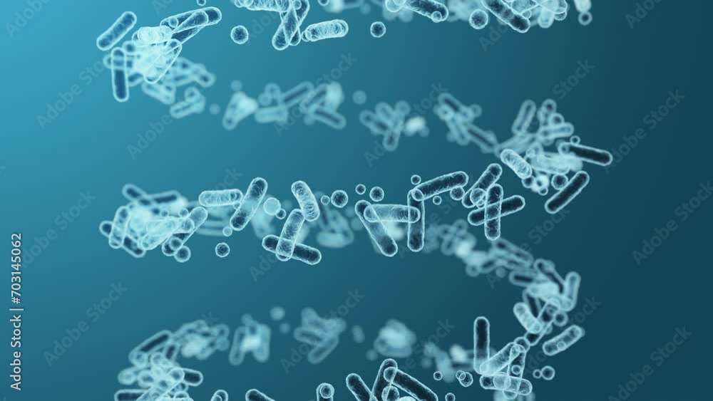 Enterobacteriaceae, gram-negative rod-shaped bacteria, part of ...
