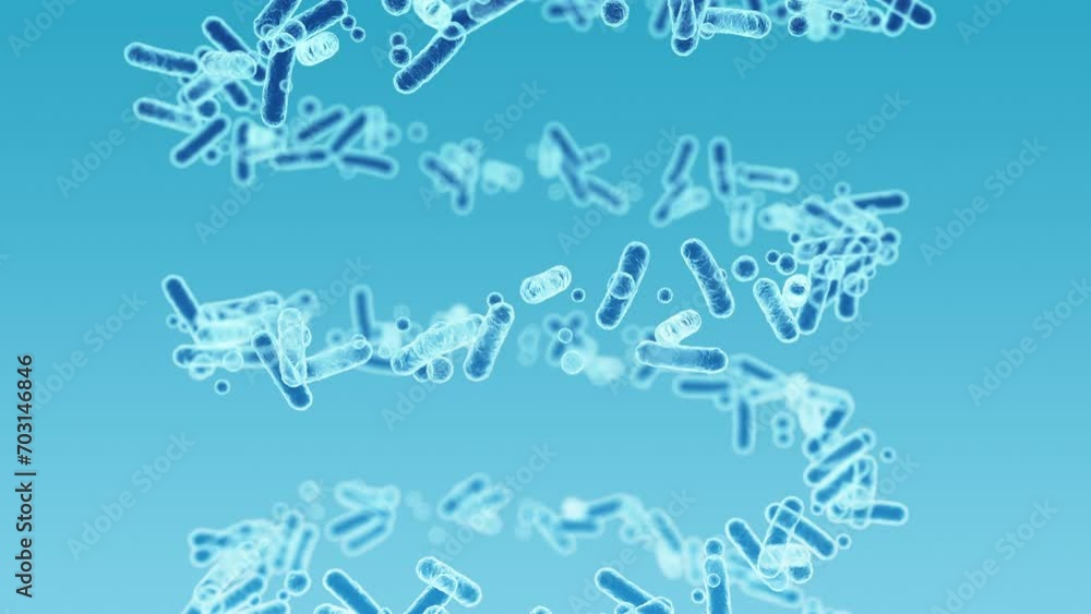 Enterobacteriaceae, gram-negative rod-shaped bacteria, part of ...