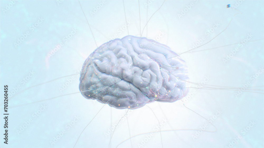 Translucent brain with neural connections and sparkling synapses on a ...