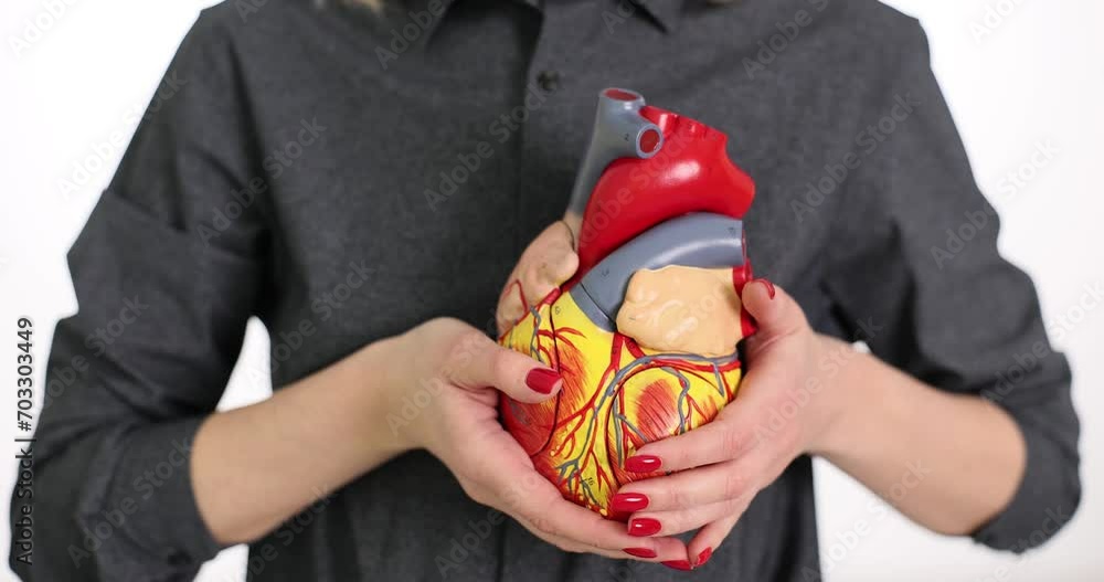 Woman hand holds open model of human heart on body. Problem and ...