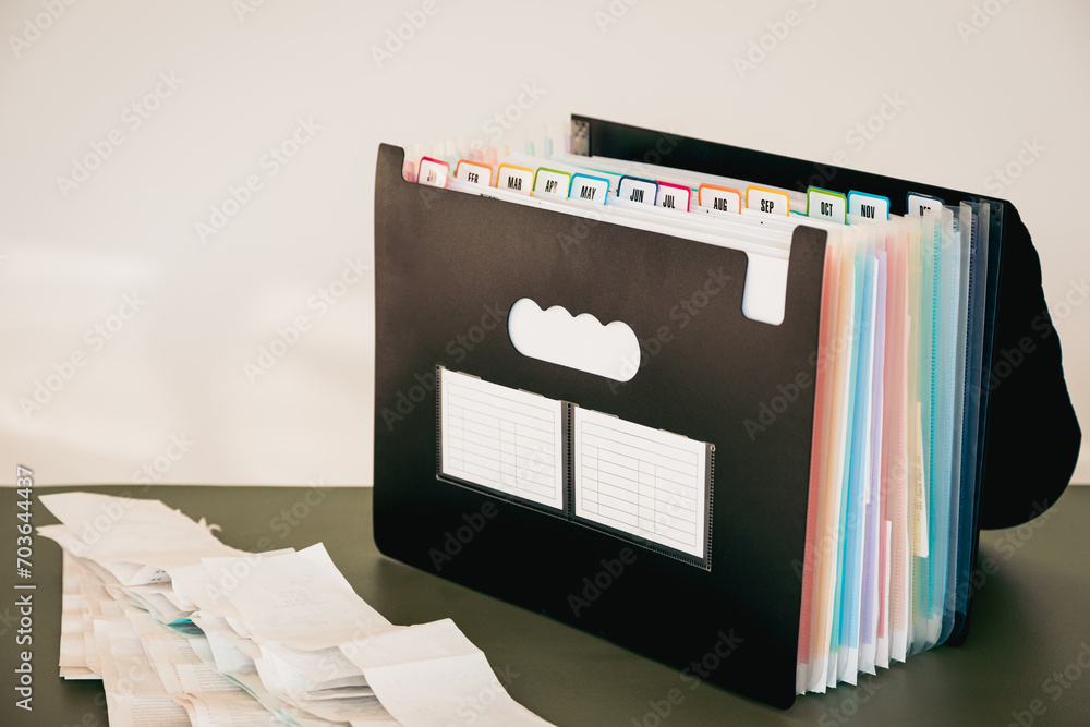 12-Month Accordion File Organizer, Monthly Document Filing System with ...