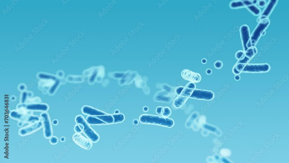 Enterobacteriaceae, gram-negative rod-shaped bacteria, part of ...