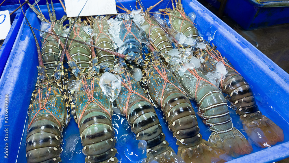 seafood robster meal delicious meat shrimp fish dinner disk lobster ...