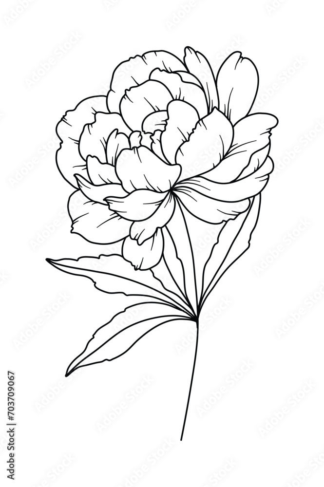 Peony Line Drawing. Black and white Floral Bouquets. Flower Coloring ...