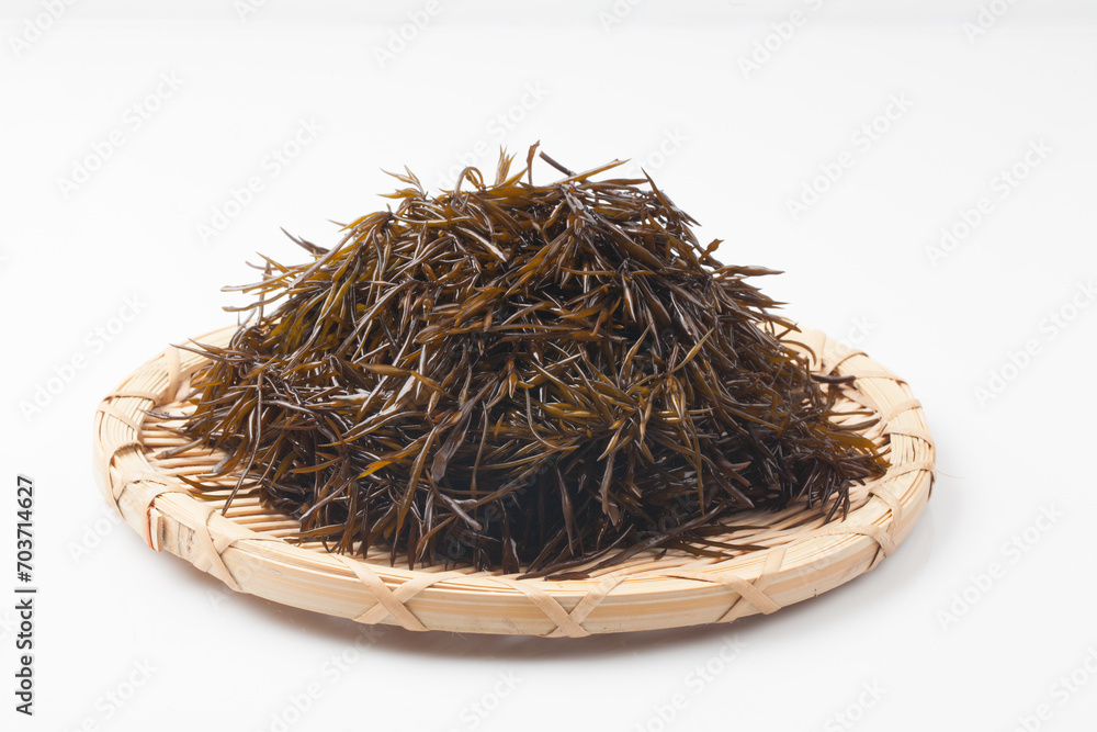 Seaweed of the brown algae Mojabanidae. The body is supported by ...