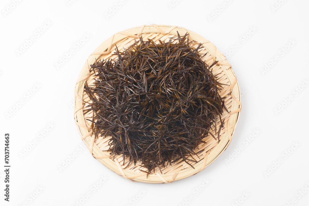 Seaweed of the brown algae Mojabanidae. The body is supported by ...
