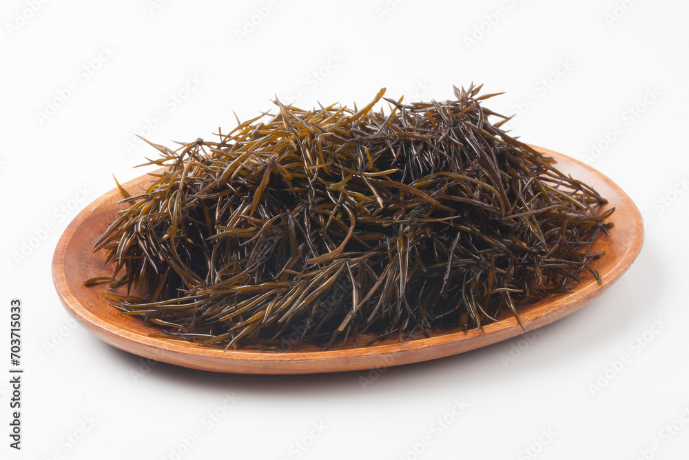 Seaweed of the brown algae Mojabanidae. The body is supported by ...