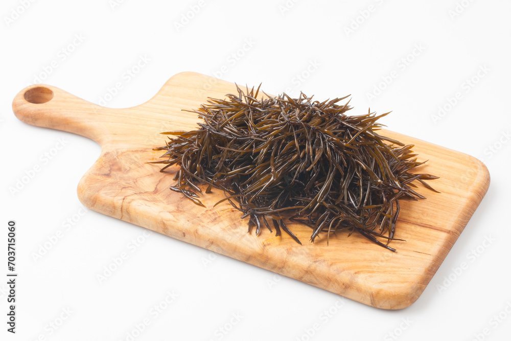 Seaweed of the brown algae Mojabanidae. The body is supported by ...