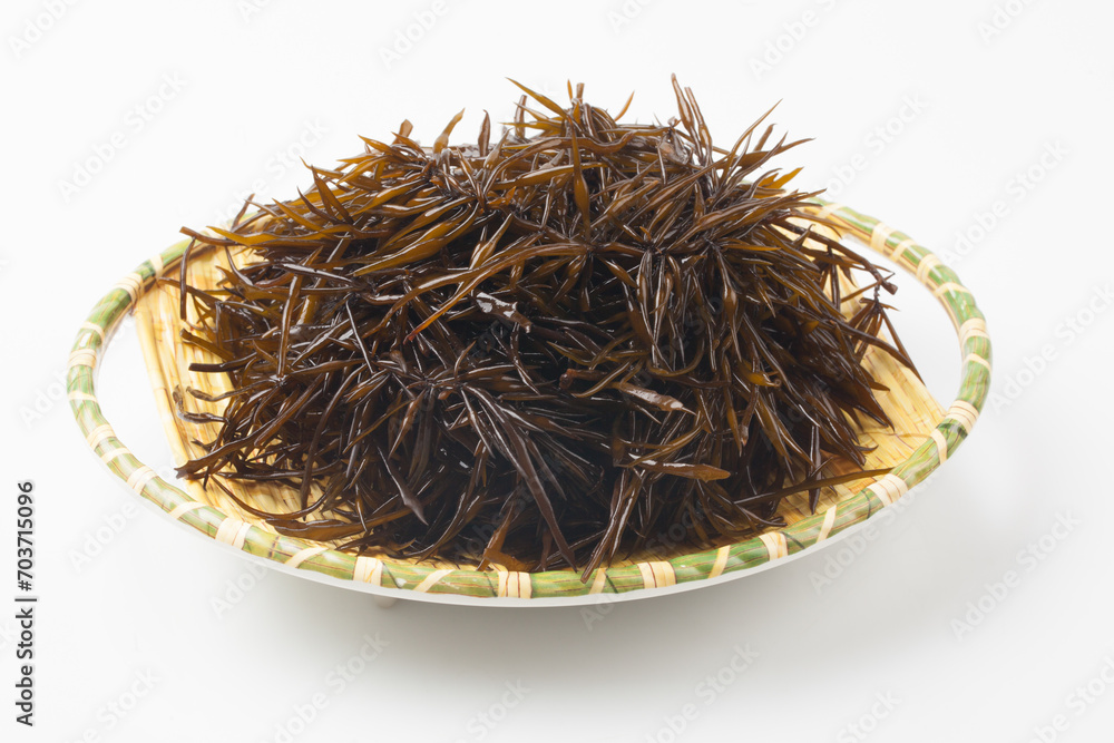 Seaweed of the brown algae Mojabanidae. The body is supported by ...
