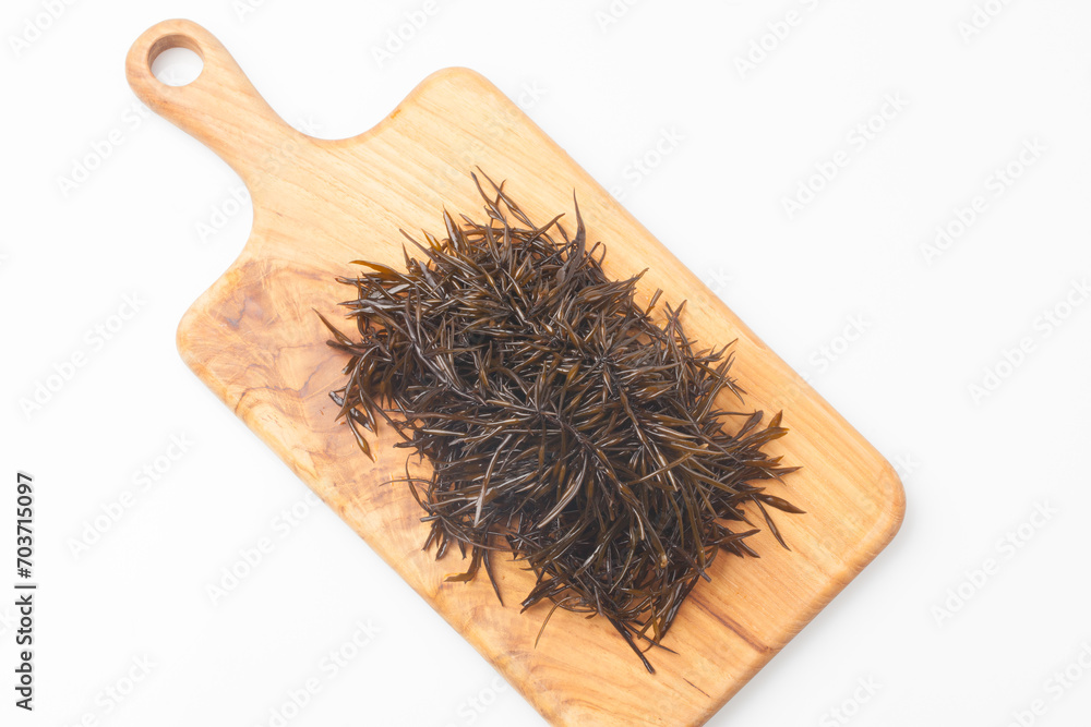 Seaweed of the brown algae Mojabanidae. The body is supported by ...