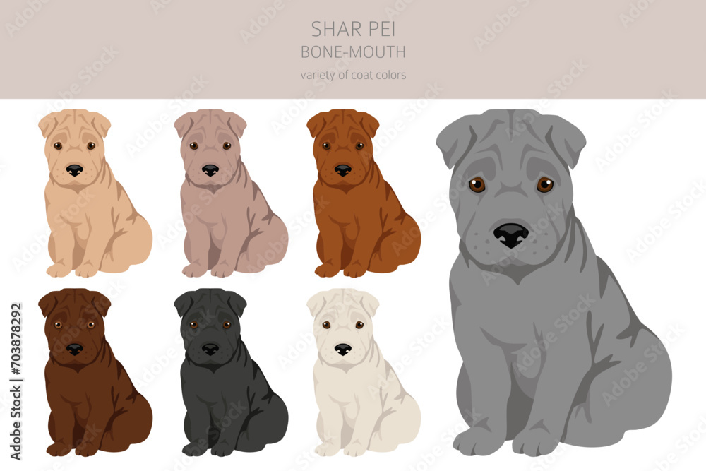 Shar Pei bone mouth puppies clipart. Different poses, coat colors set ...