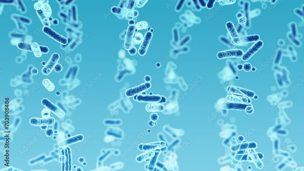 Enterobacteriaceae, gram-negative rod-shaped bacteria, part of ...