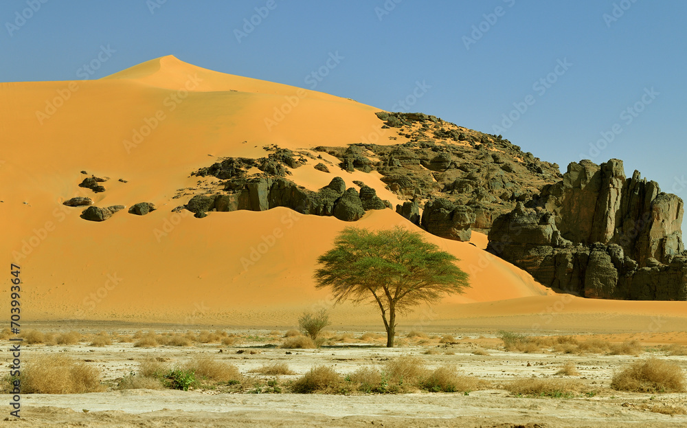 SAND DUNES IN THE SAHARA DESERT AROUND TADRART ROUGE PROVINCE AND ...