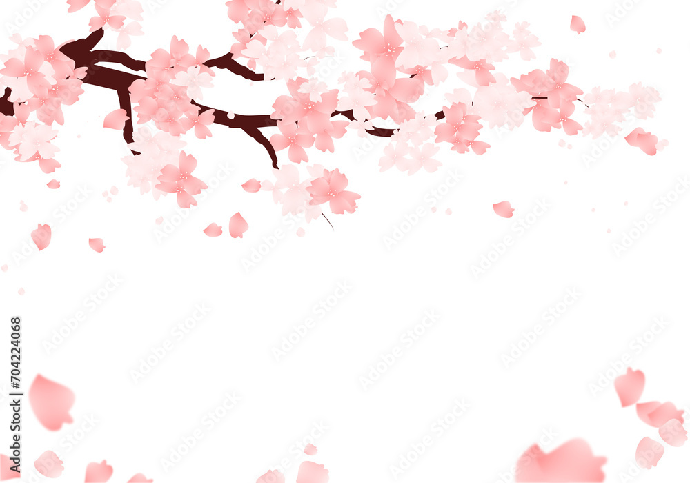 Sakura Flower Frame. Cherry Blossom Background. Spring Falling Petals ...