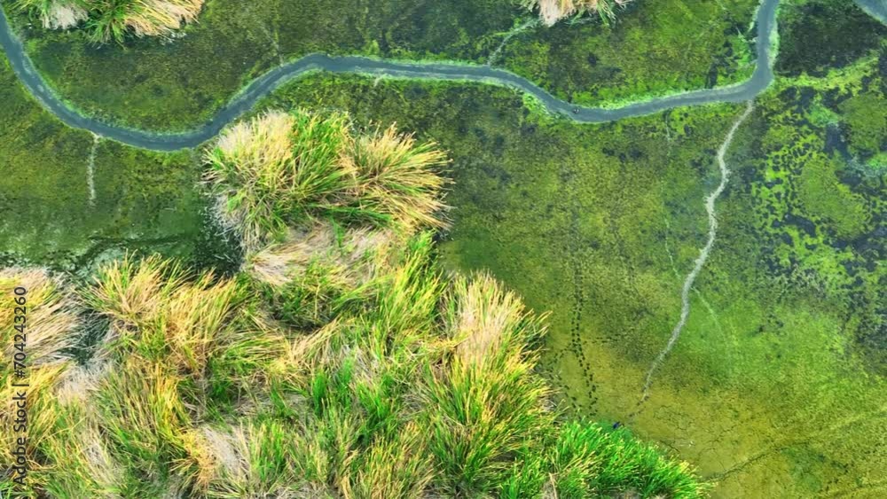 Surface water pollution from industrial waste endangers ecosystems ...