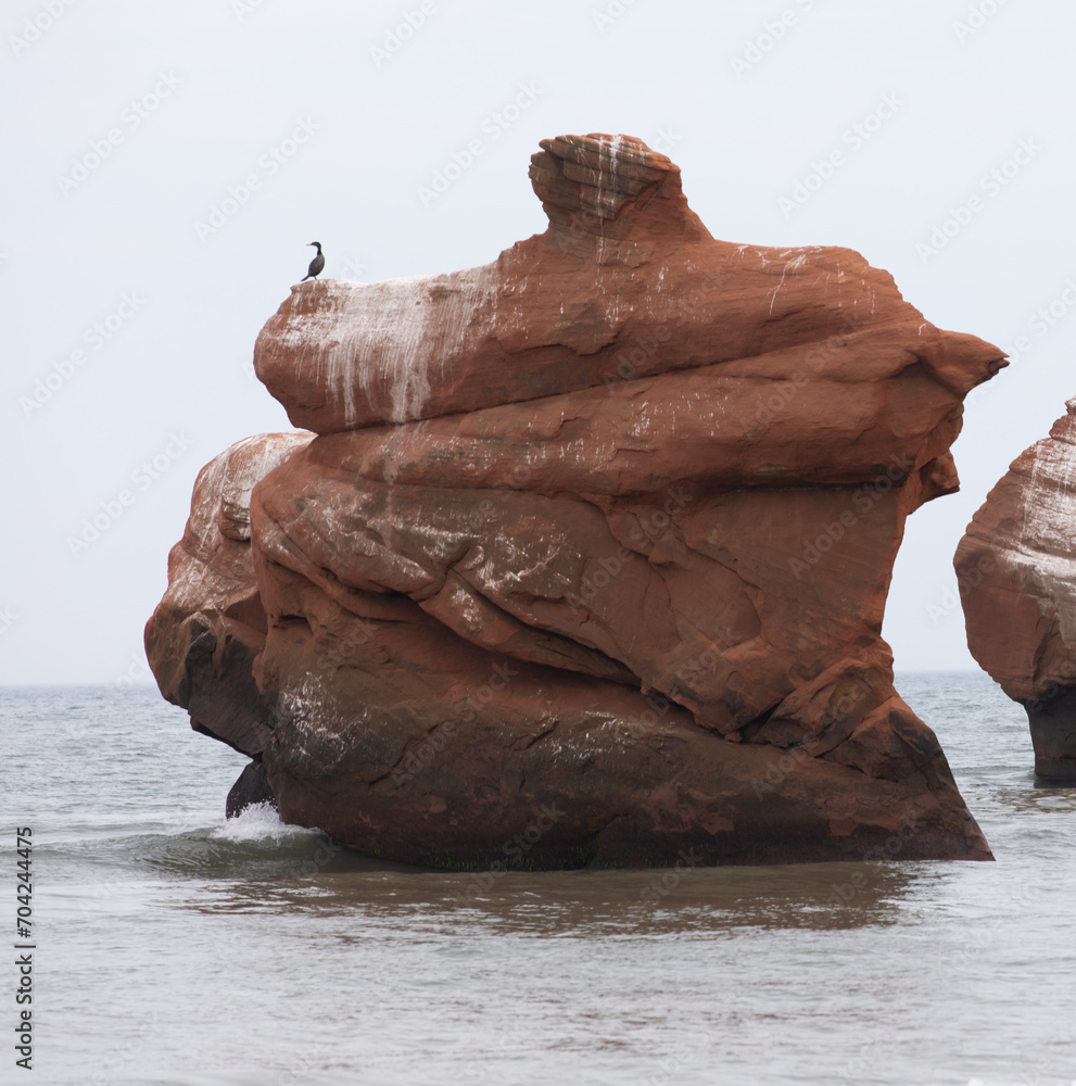 Foto de vue sur un rocher rouge recouvert de fientes d'oiseau au bord ...