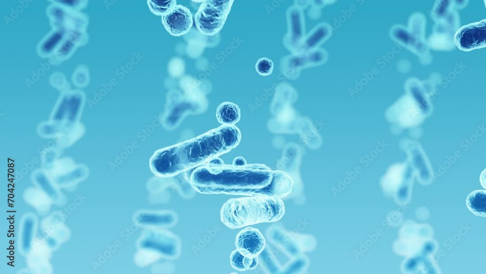 Enterobacteriaceae, gram-negative rod-shaped bacteria, part of ...