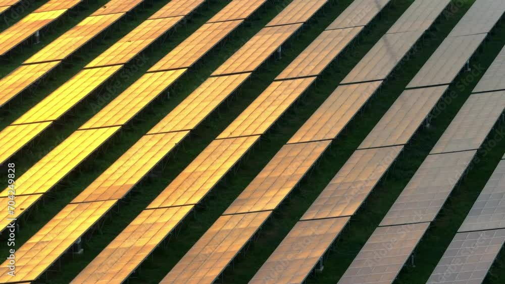 The golden solar plant stood as a radiant sentinel, harnessing the sun ...