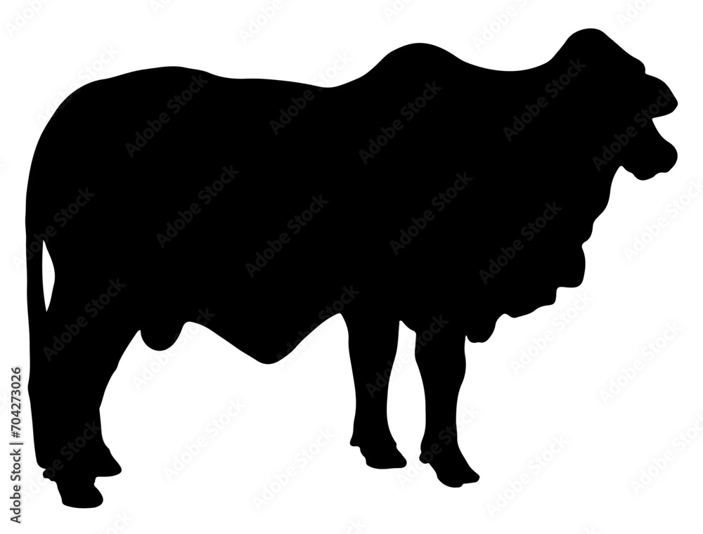 Brahman Bull silhouette vector art white background Stock Vector ...
