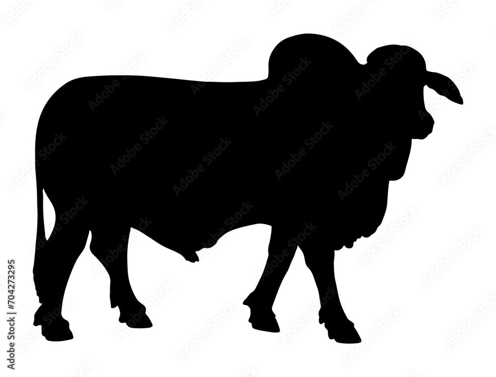 Brahman Bull silhouette vector art white background Stock Vector ...