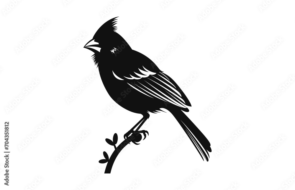 Cardinal Bird Silhouette vector art isolated on white background ...
