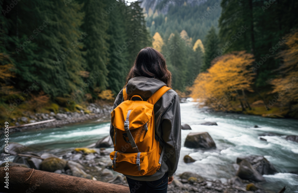 Immersed in the beauty of the outdoors, a hiker stands on a log, gazing ...