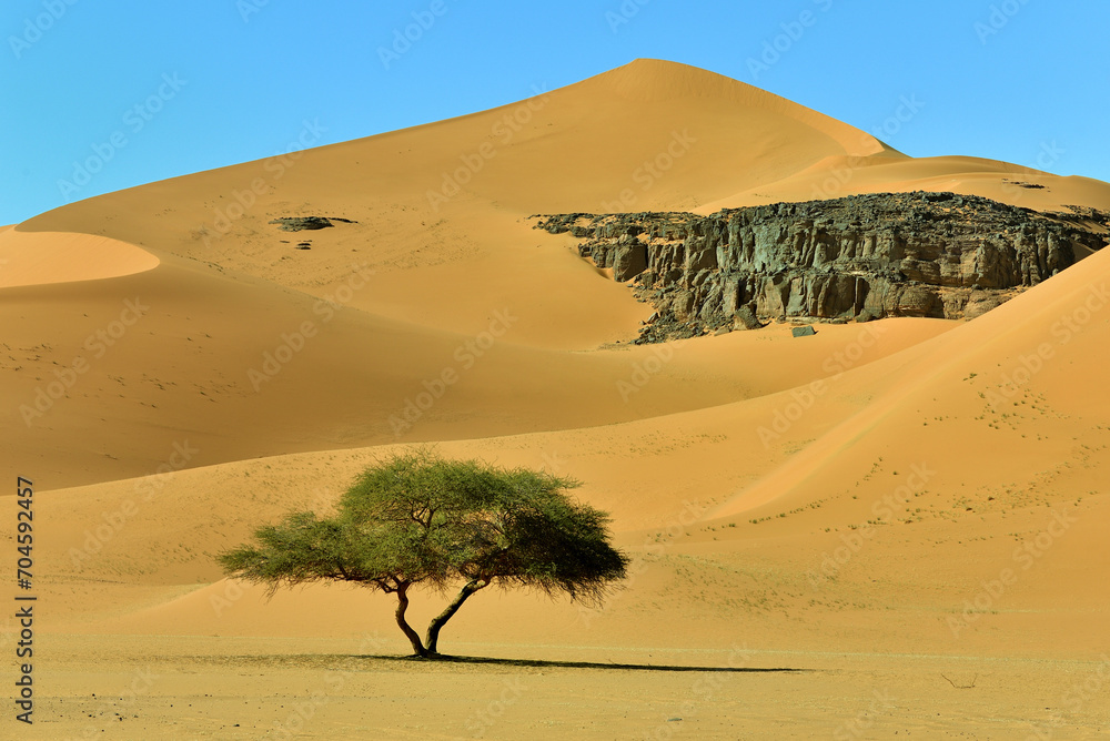 SAHARA DESERT WITH SAND DUNES AND ROCKS AROUND TADRART ROUGE AND DJANET ...