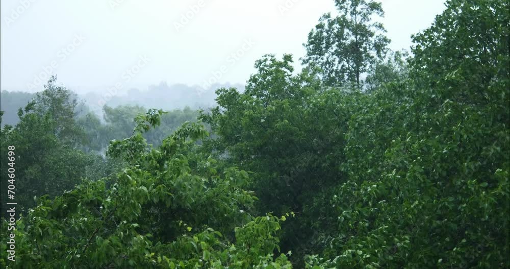 Storm and shower with lightning. Heavy rain with black clouds and wind ...