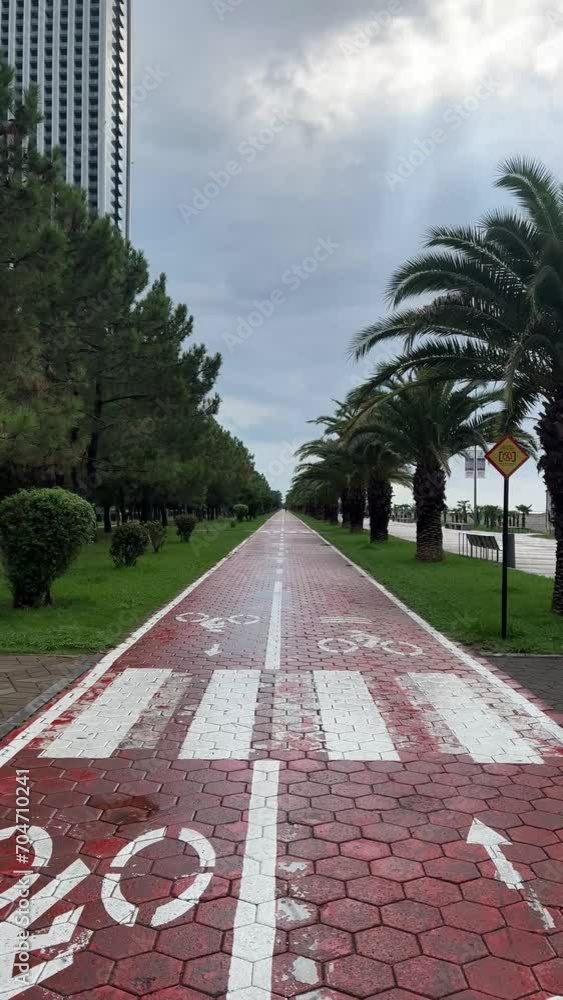 4K vertical video. Camera moves along the red bicycle path on ...