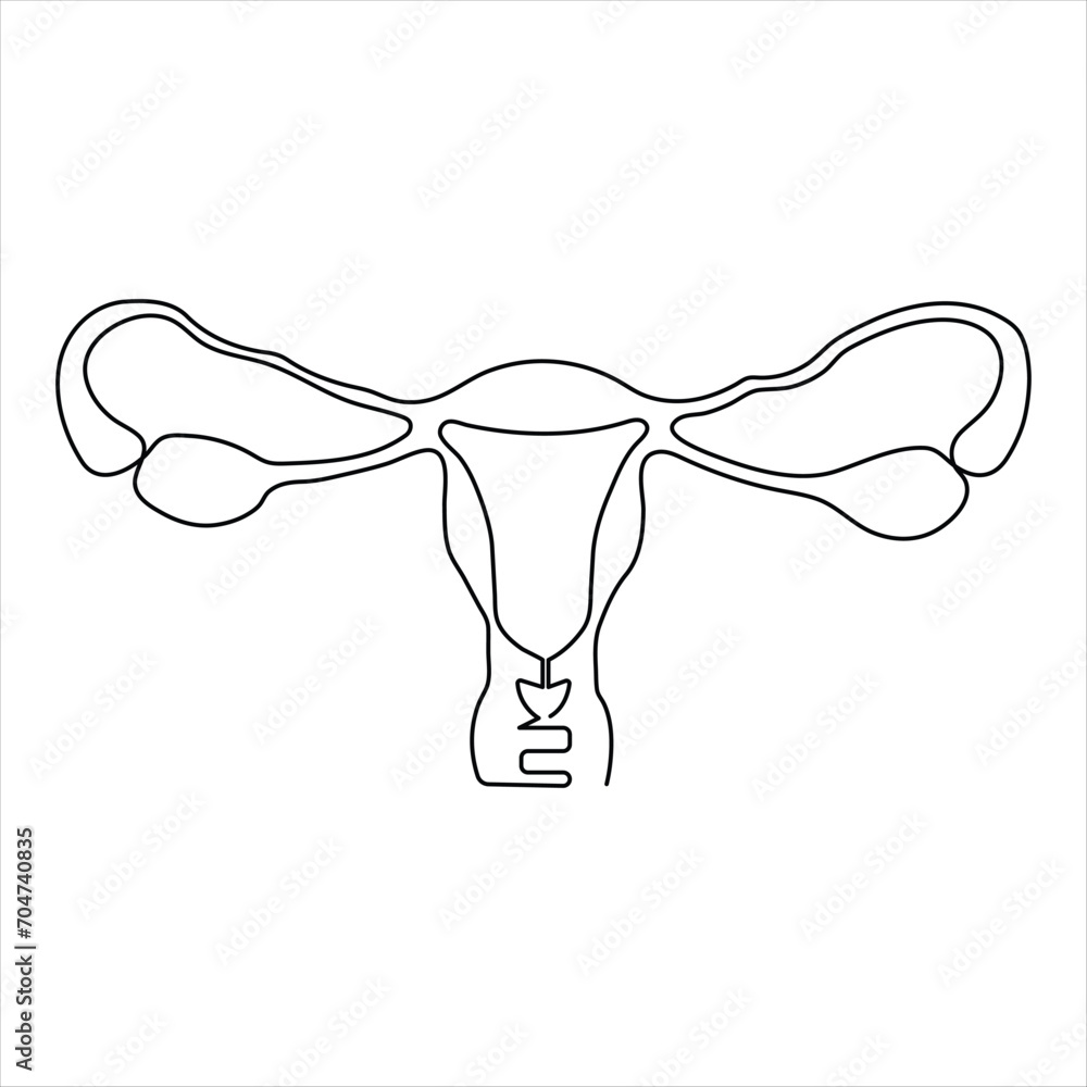 Female reproductive uterus of continuous single line art drawing and ...