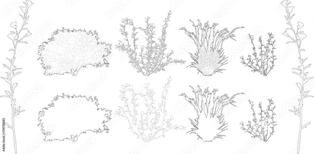 Plant elevation line silhouettes outline - grass, shrub, tree Stock ...