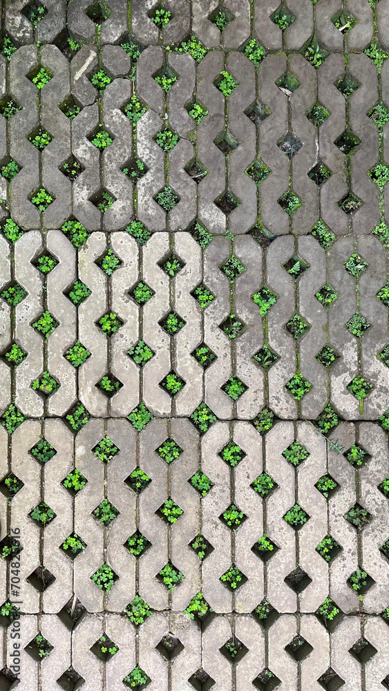 Grass block pavers. concrete paving blocks and green grass in the holes ...