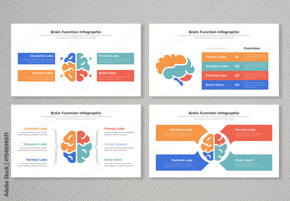 Brain Function Infographic Stock Template | Adobe Stock