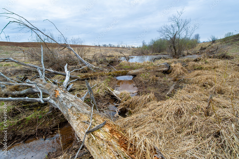 When you stumble upon a secret beaver hot tub in the middle of the ...