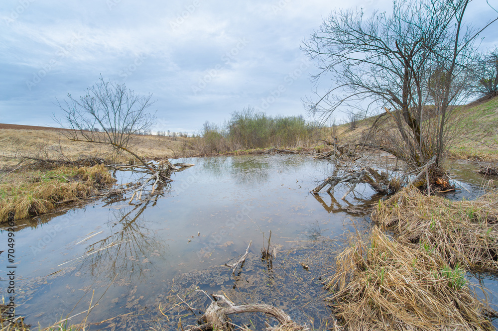When you stumble upon a secret beaver hot tub in the middle of the ...