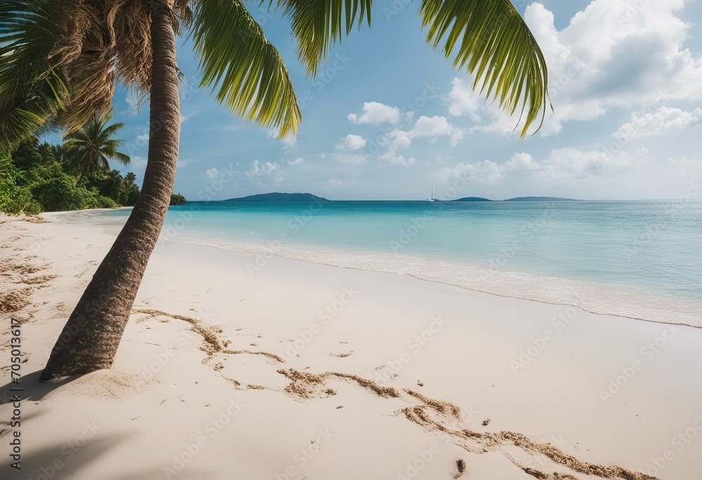 Tropical white sand beach with coco palms stock photoBeach Palm Tree ...