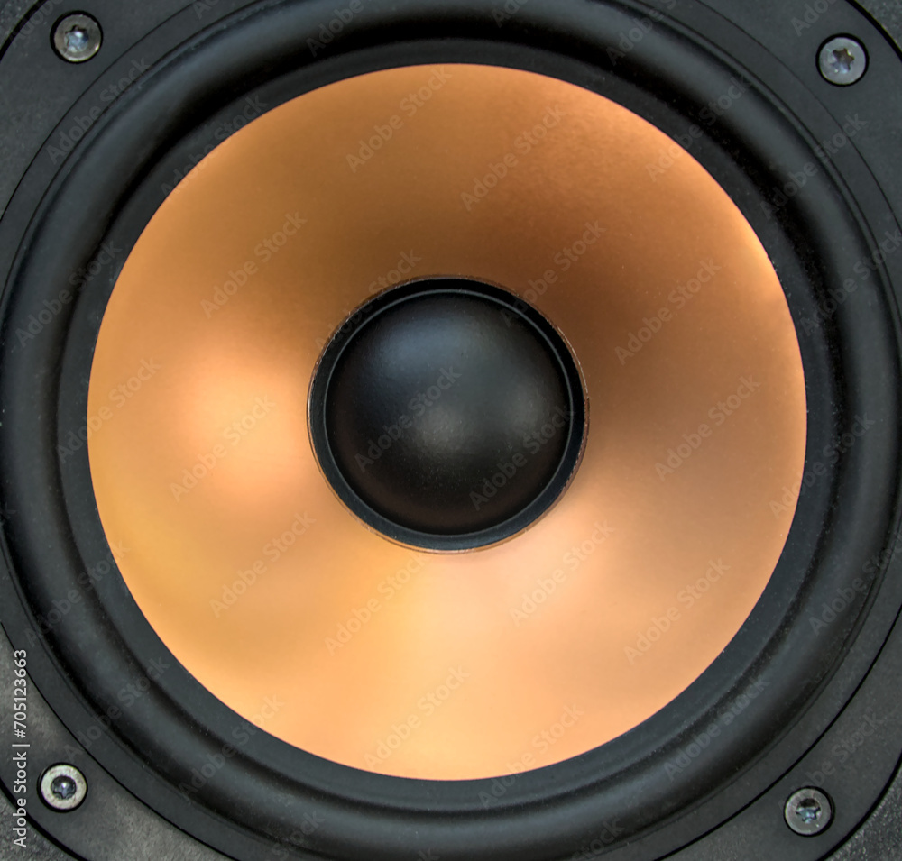 gold speaker woofer cone detail (close up of loudspeaker section ...