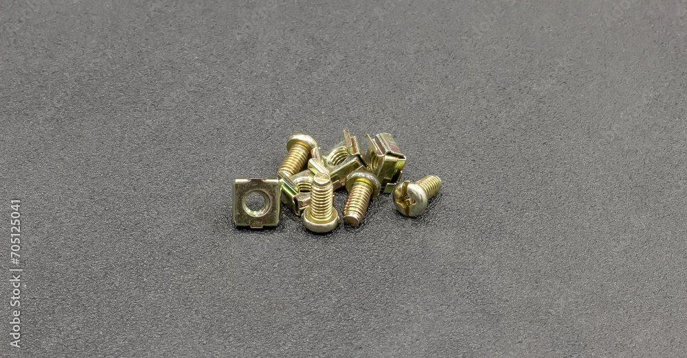 Mounting screws, bolts, and cage nuts in the server rack ensure secure ...