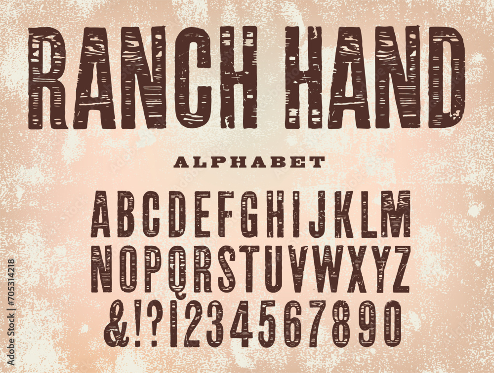 A rustic old looking wood type alphabet. Antique wooden printing ...