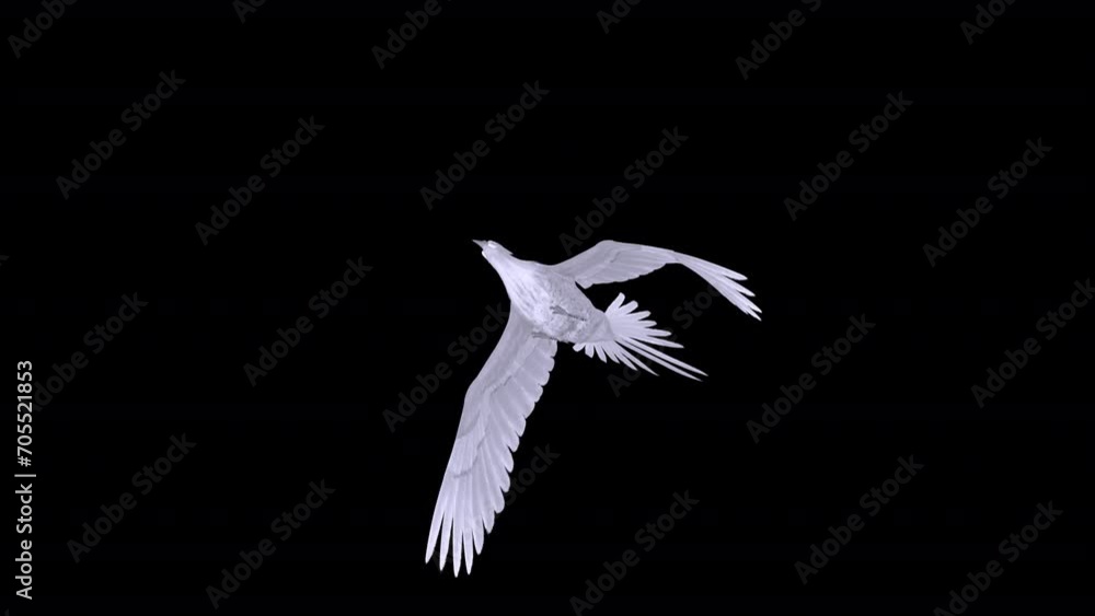 White Phoenix Bird - Flying Loop - Low Angle View Closeup - Realistic ...